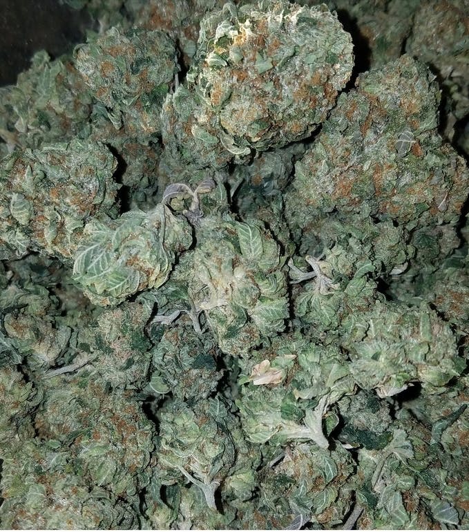 Og Kush Nugget
