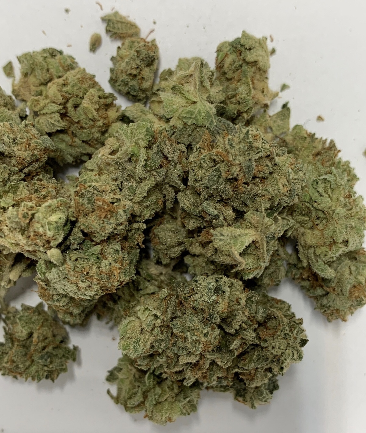 Biscotti – Cannabis Delivery